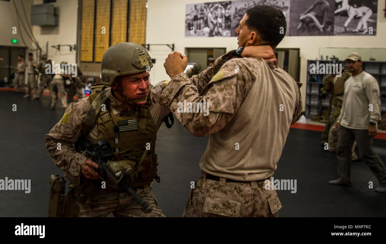 1st special recon battalion hi-res stock photography and images - Alamy