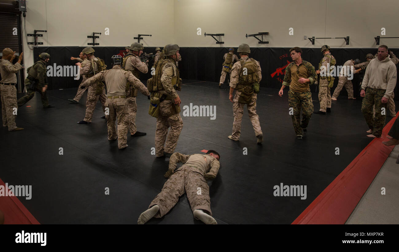 Marines with Company B, 1st Reconnaissance Battalion, 1st Marine ...