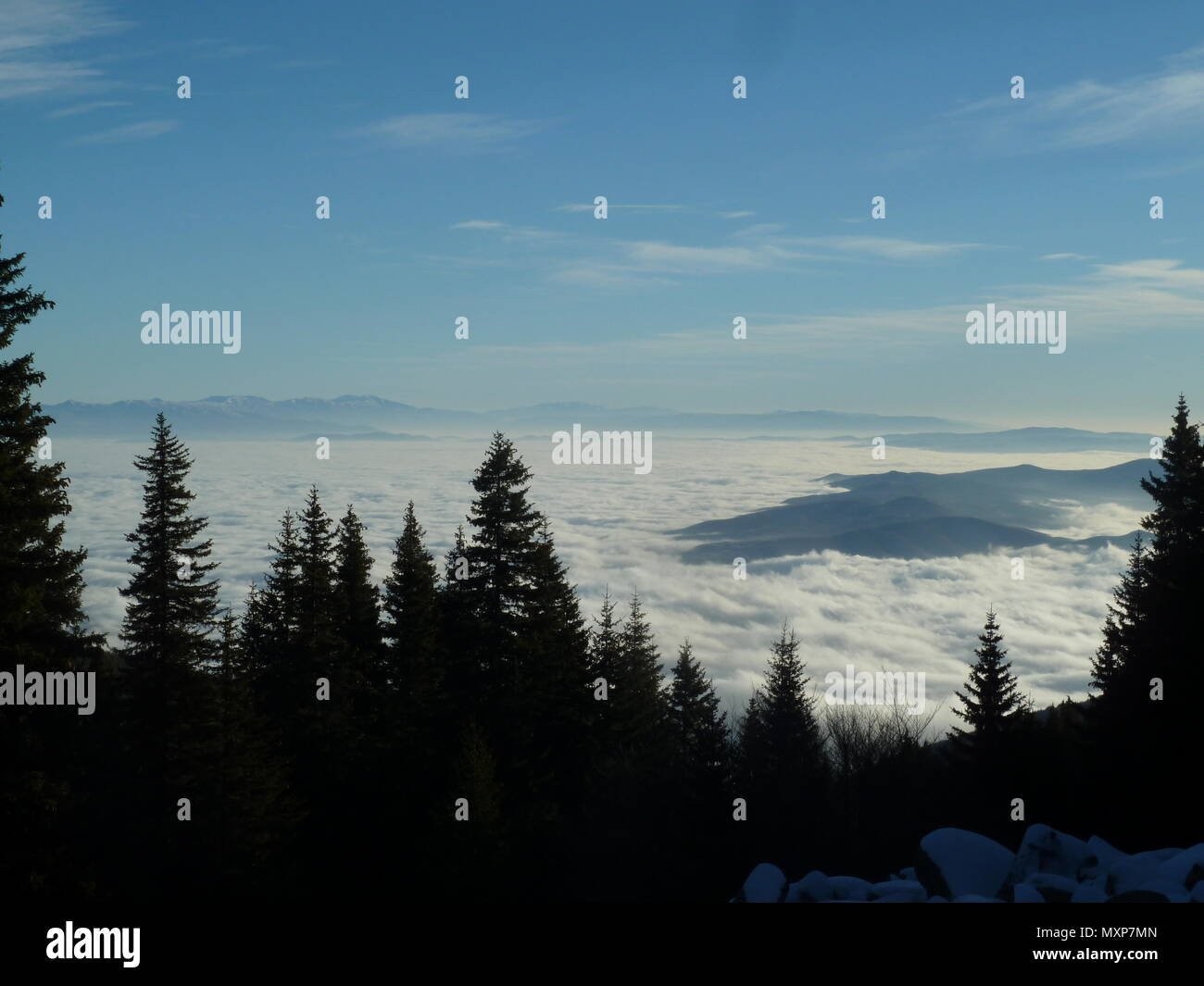 Vitosha mountain nature park hi-res stock photography and images - Alamy