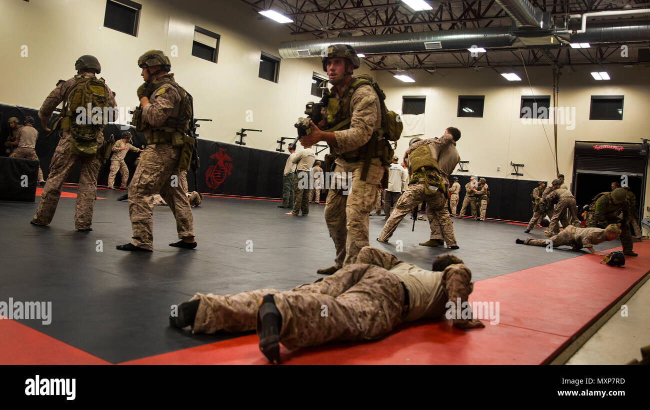 Marines with Company B, 1st Reconnaissance Battalion, 1st Marine ...