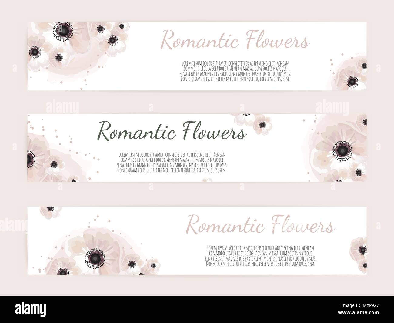 set of floral labels. Frame border with copy space Stock Vector Image ...