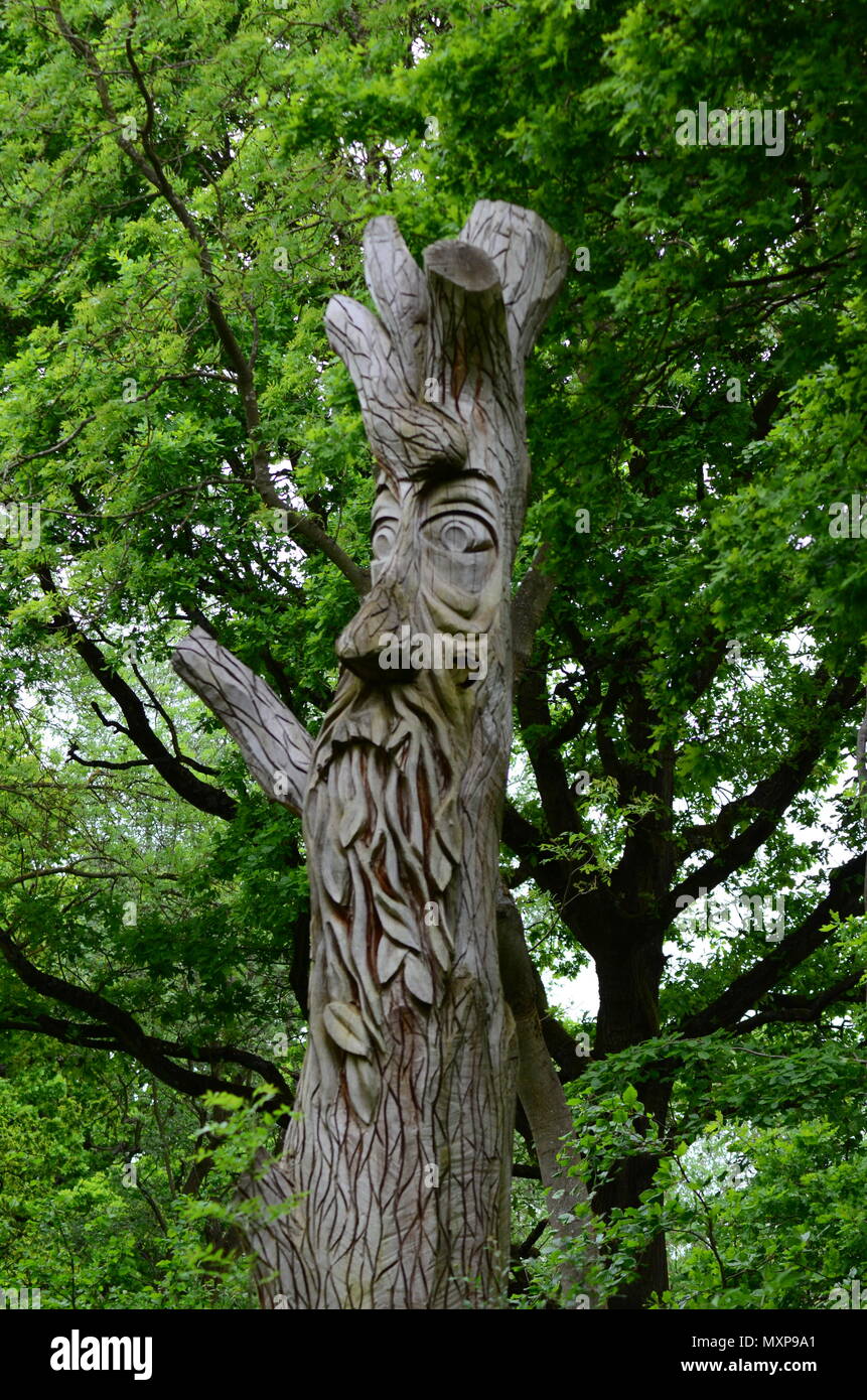 Sculpture - face carved into large tree trunk Stock Photo - Alamy