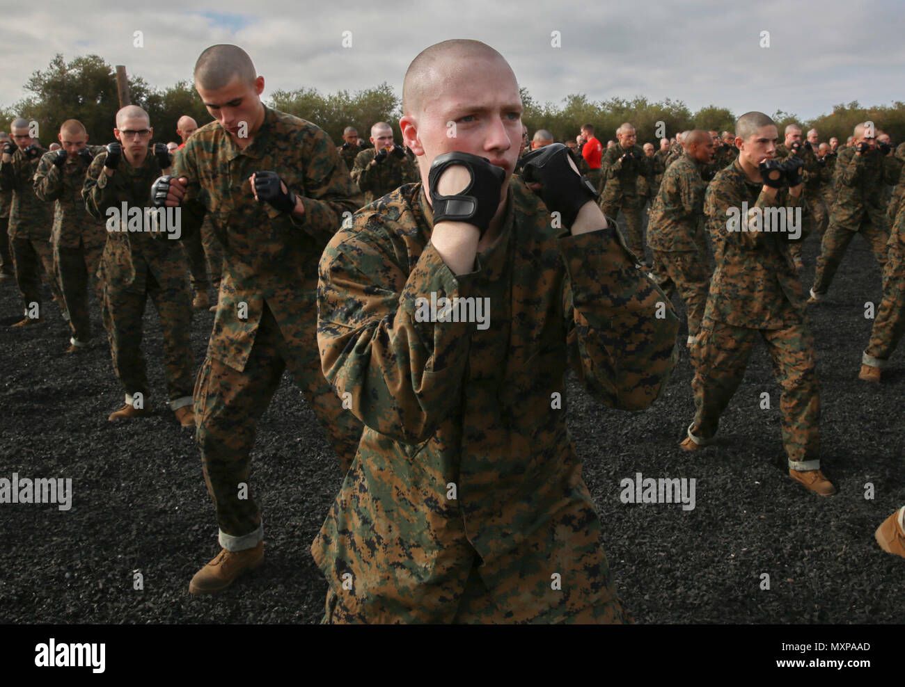 Recruit from bravo company 1st hi-res stock photography and images - Alamy