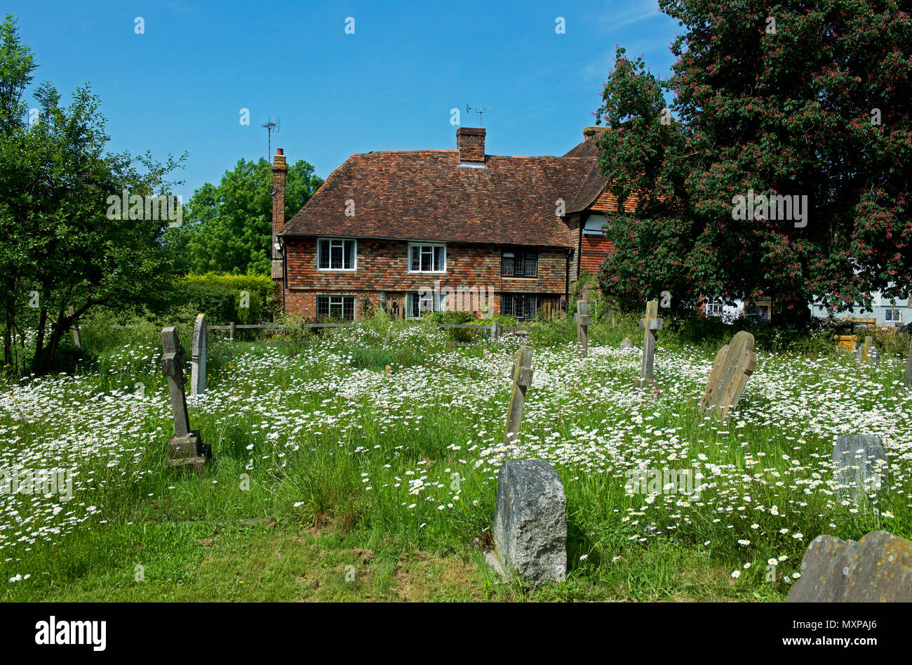Headcorn, Kent, England UK Stock Photo - Alamy