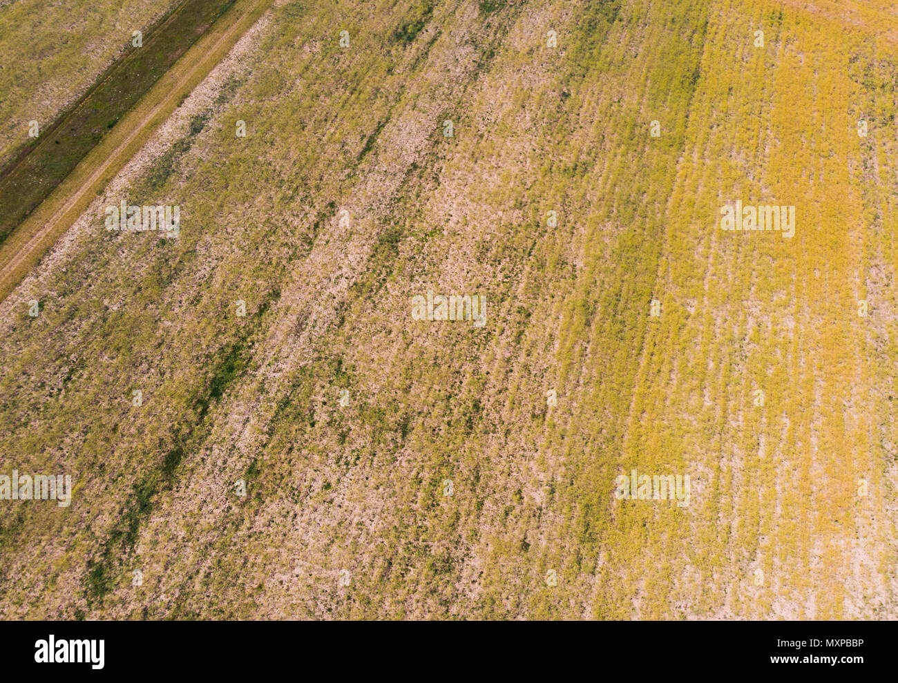 Meadow aerial view hi-res stock photography and images - Alamy