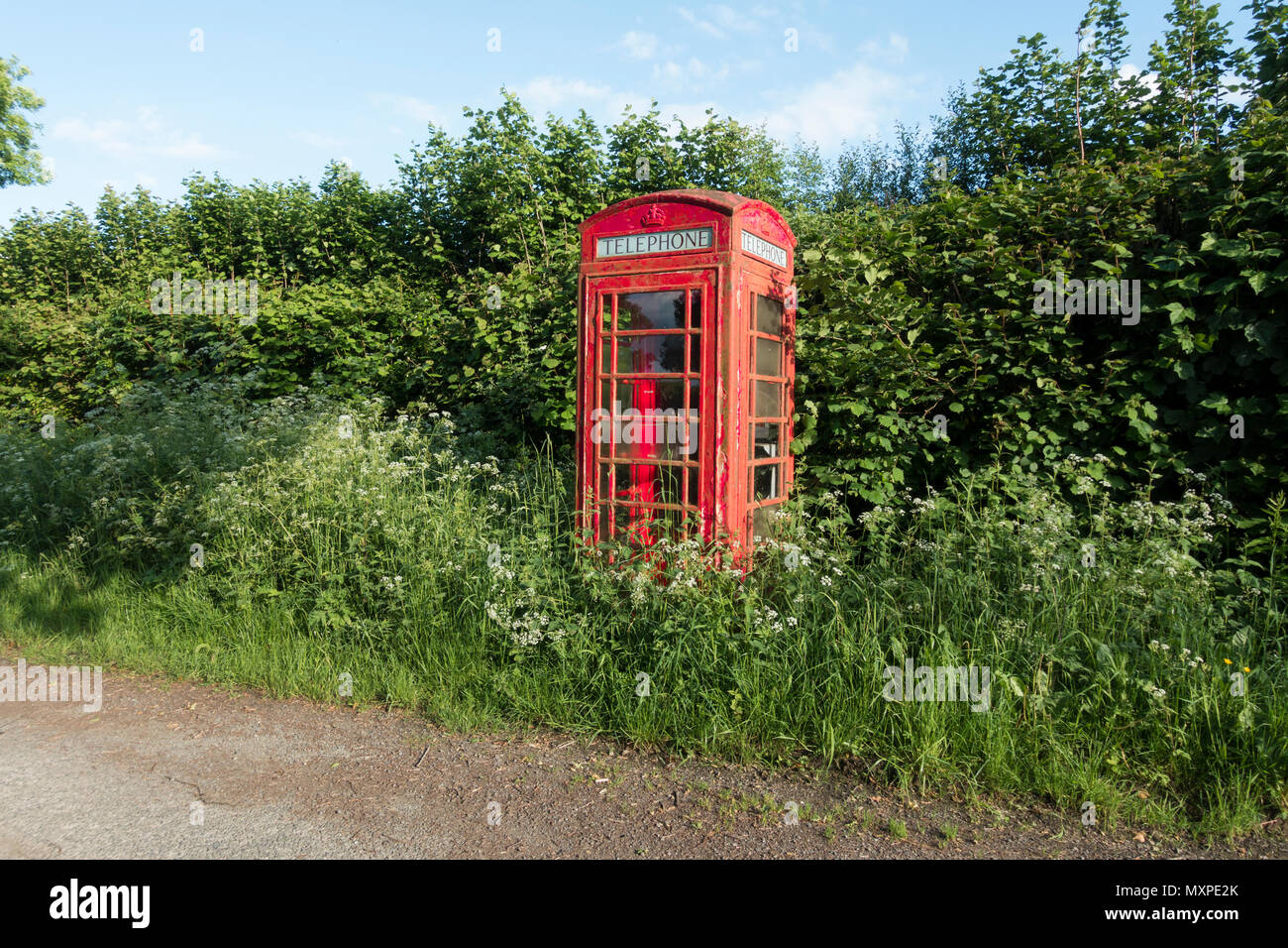 A telephone box overgrown by weeds Stock Photo - Alamy