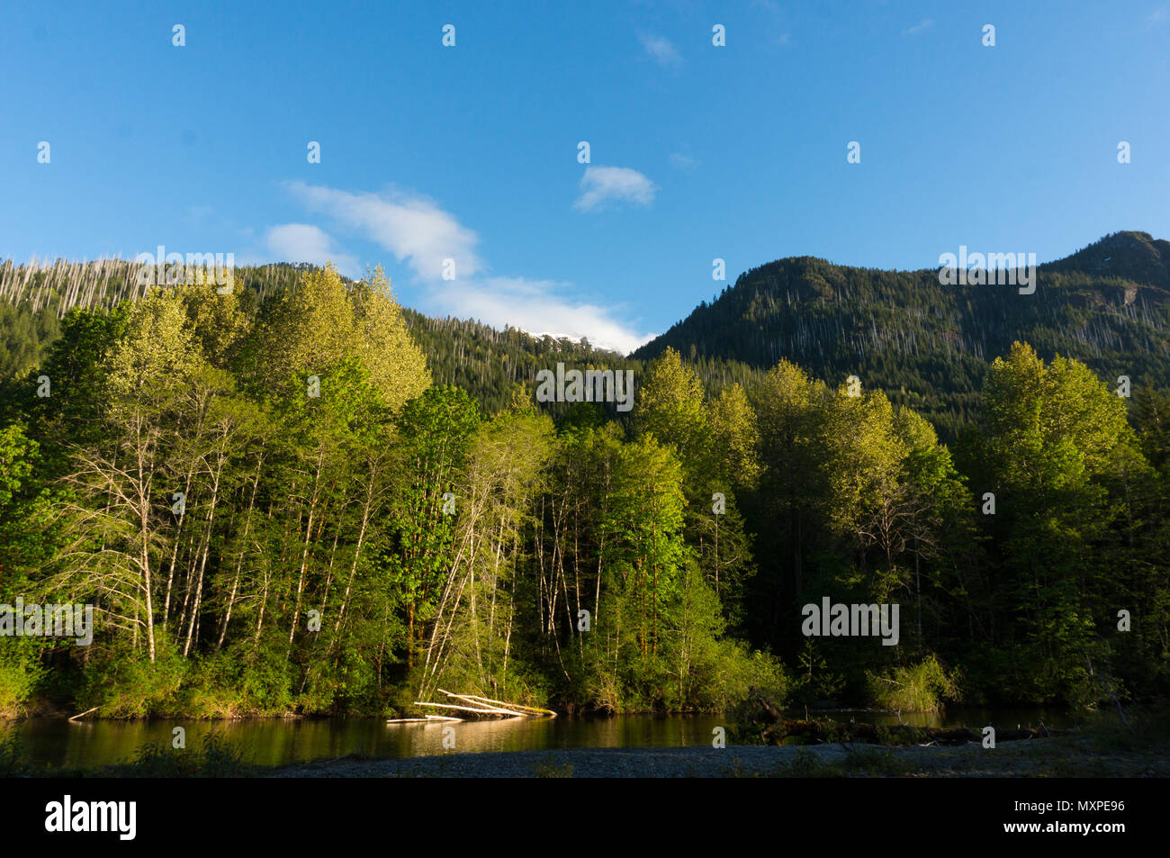 Taylor river in May Stock Photo - Alamy