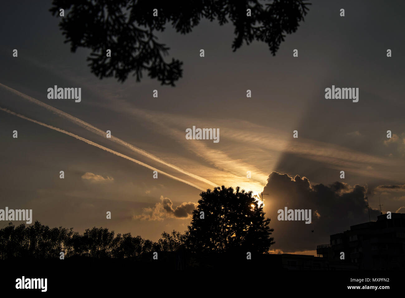 Sunset in the foliage landscape Stock Photo - Alamy