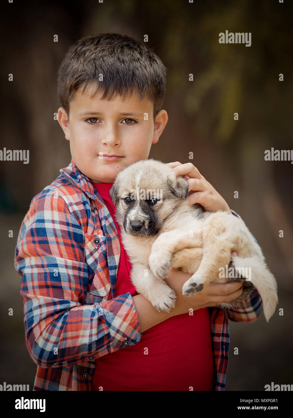 Boy holding pomeranian dog hi-res stock photography and images - Alamy