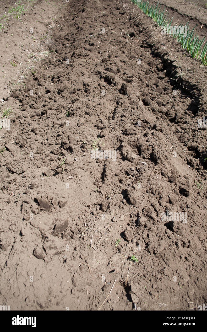 Plowed farmland, well cultivated soft soil Stock Photo - Alamy