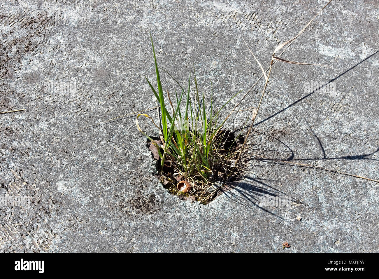 Destruction of golf course hi-res stock photography and images - Alamy