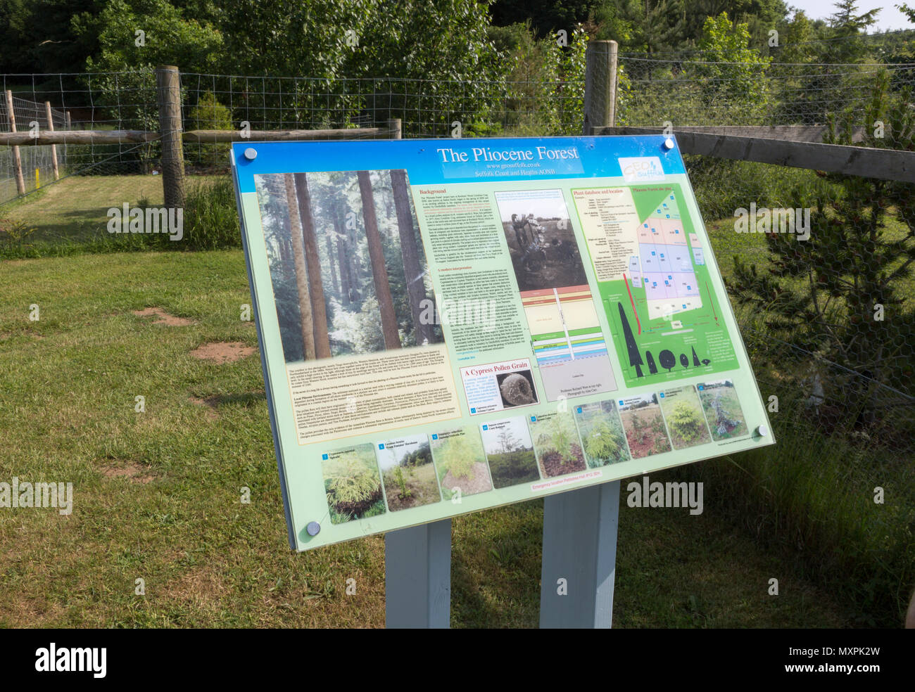 Information board uk woodland hi-res stock photography and images - Alamy