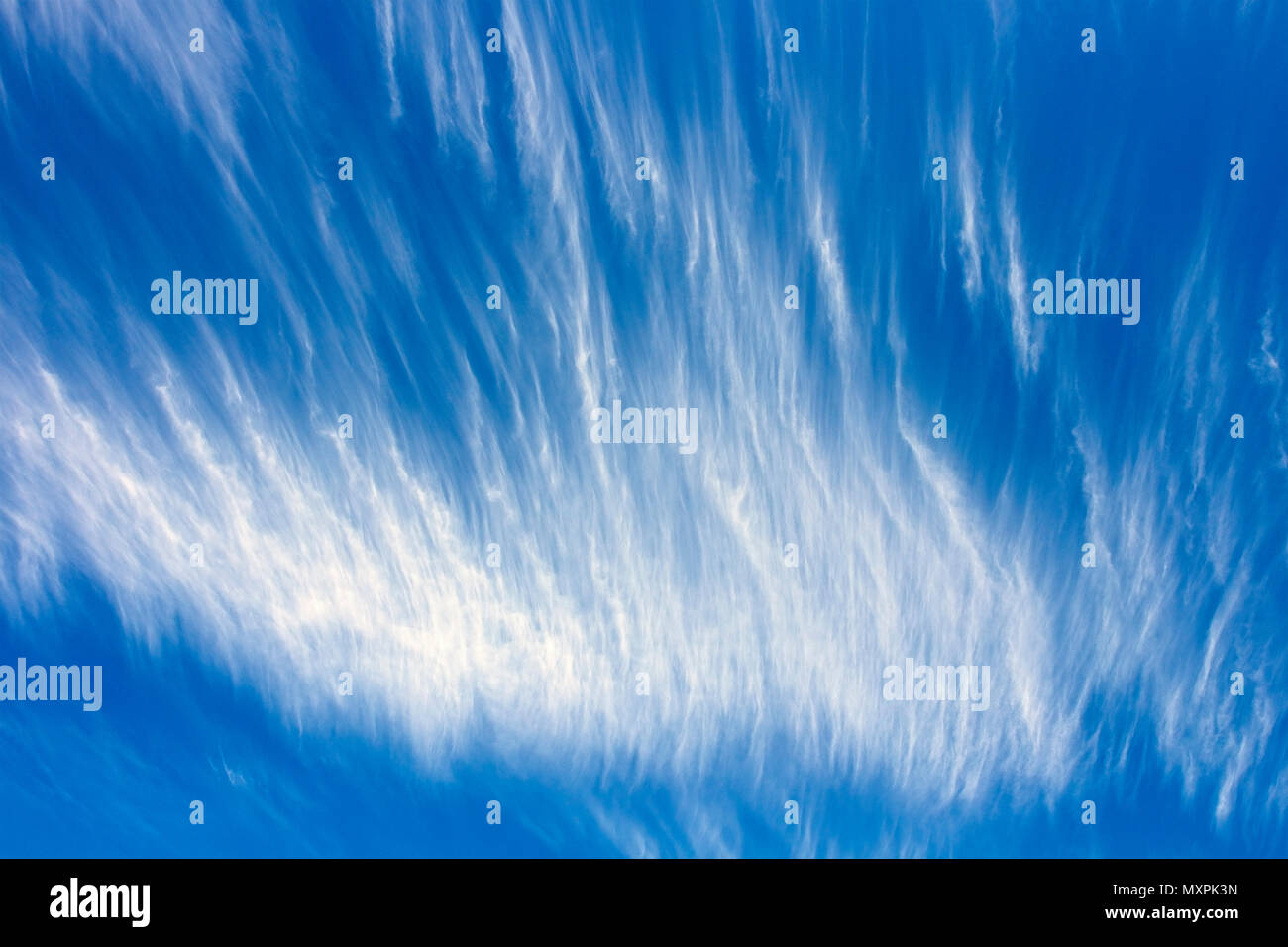 Cirrus fibratus clouds, Finland Stock Photo - Alamy