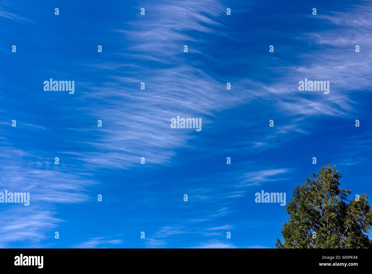 Cirrus fibratus clouds hi-res stock photography and images - Alamy