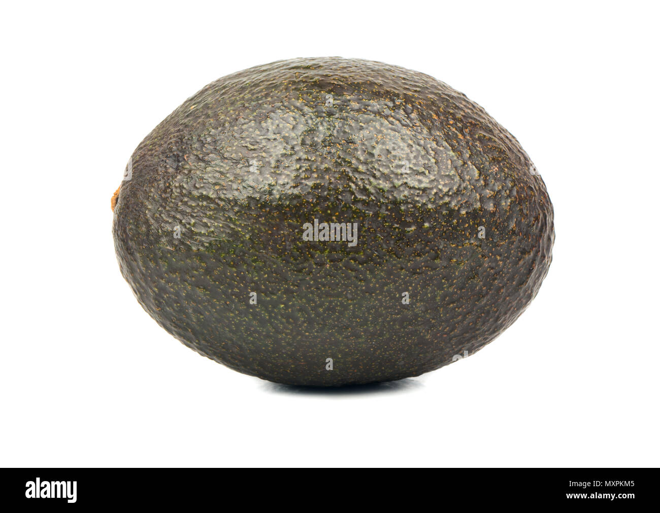 Fruit of the Hass avocado isolated on white background Stock Photo - Alamy