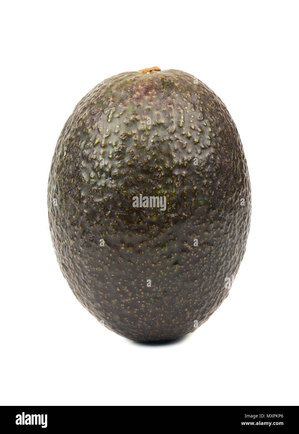 Raw fruit of avocado Hass isolated on white background Stock Photo - Alamy