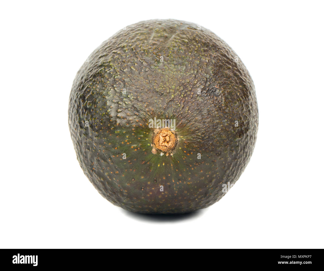 Fresh fruit of avocado Hass isolated on white background Stock Photo ...