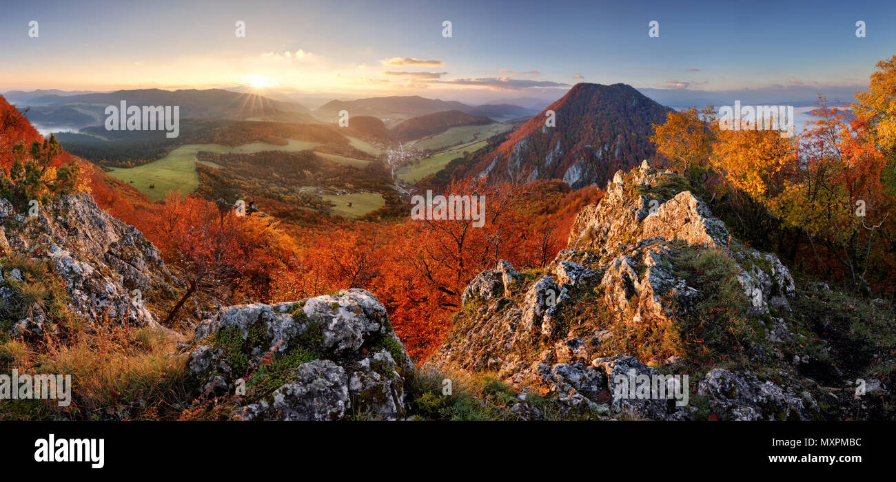 Slovakia forest hi-res stock photography and images - Alamy