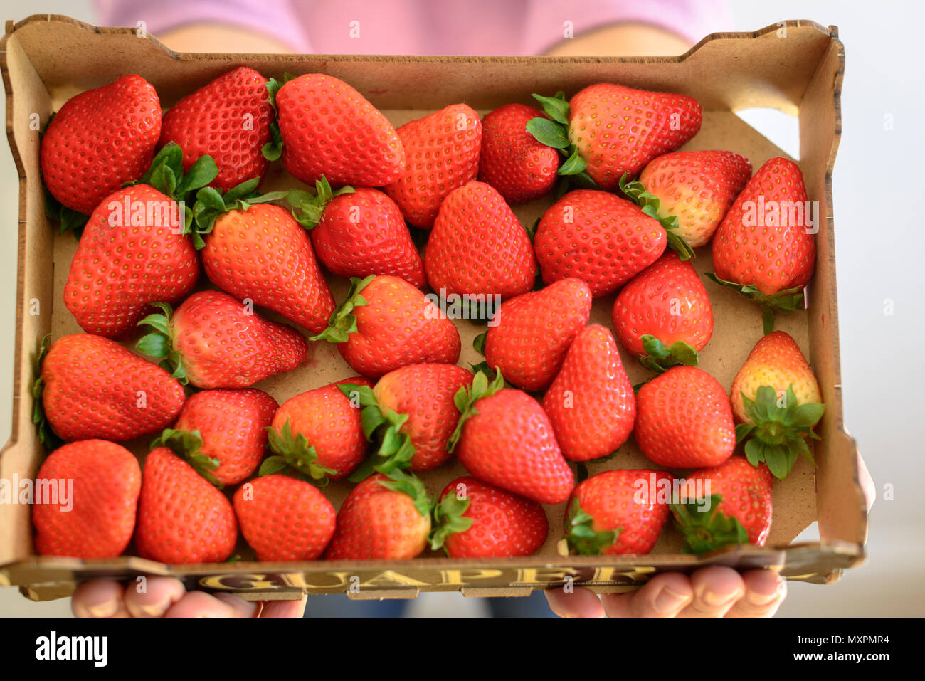 Strawberries local farmers market hi-res stock photography and images ...