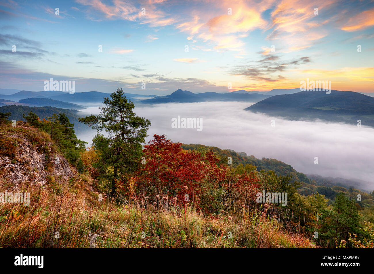 Tropical mountain slope hi-res stock photography and images - Alamy