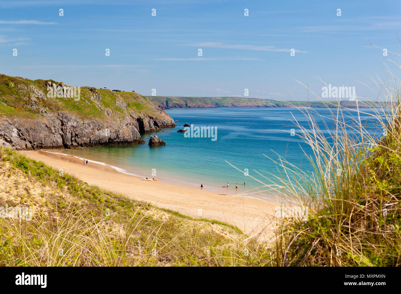 Barafundle Bay, Pembrokeshire, Wales, UK Stock Photo - Alamy