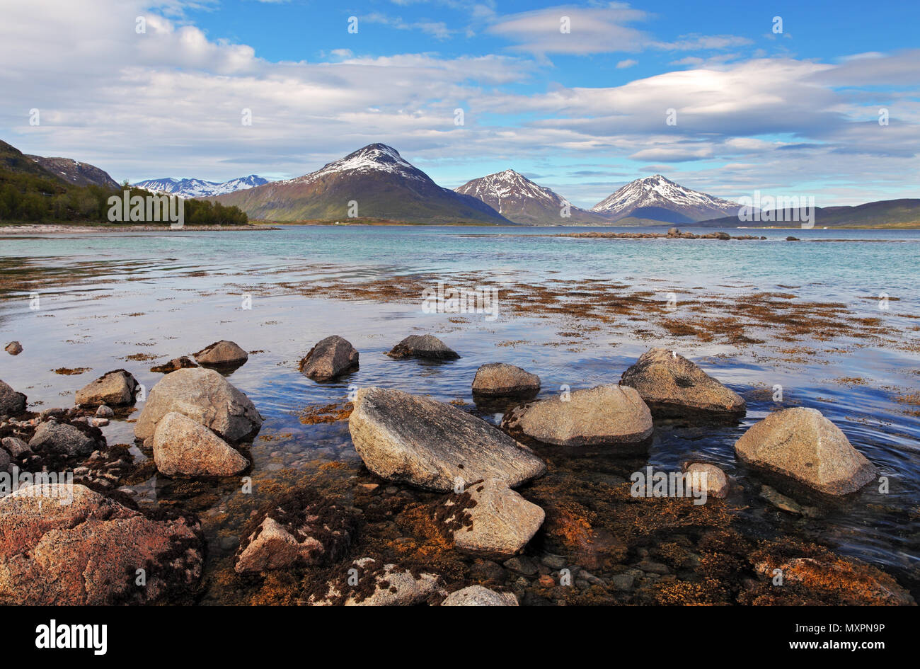 Norway fjord at spring Stock Photo - Alamy
