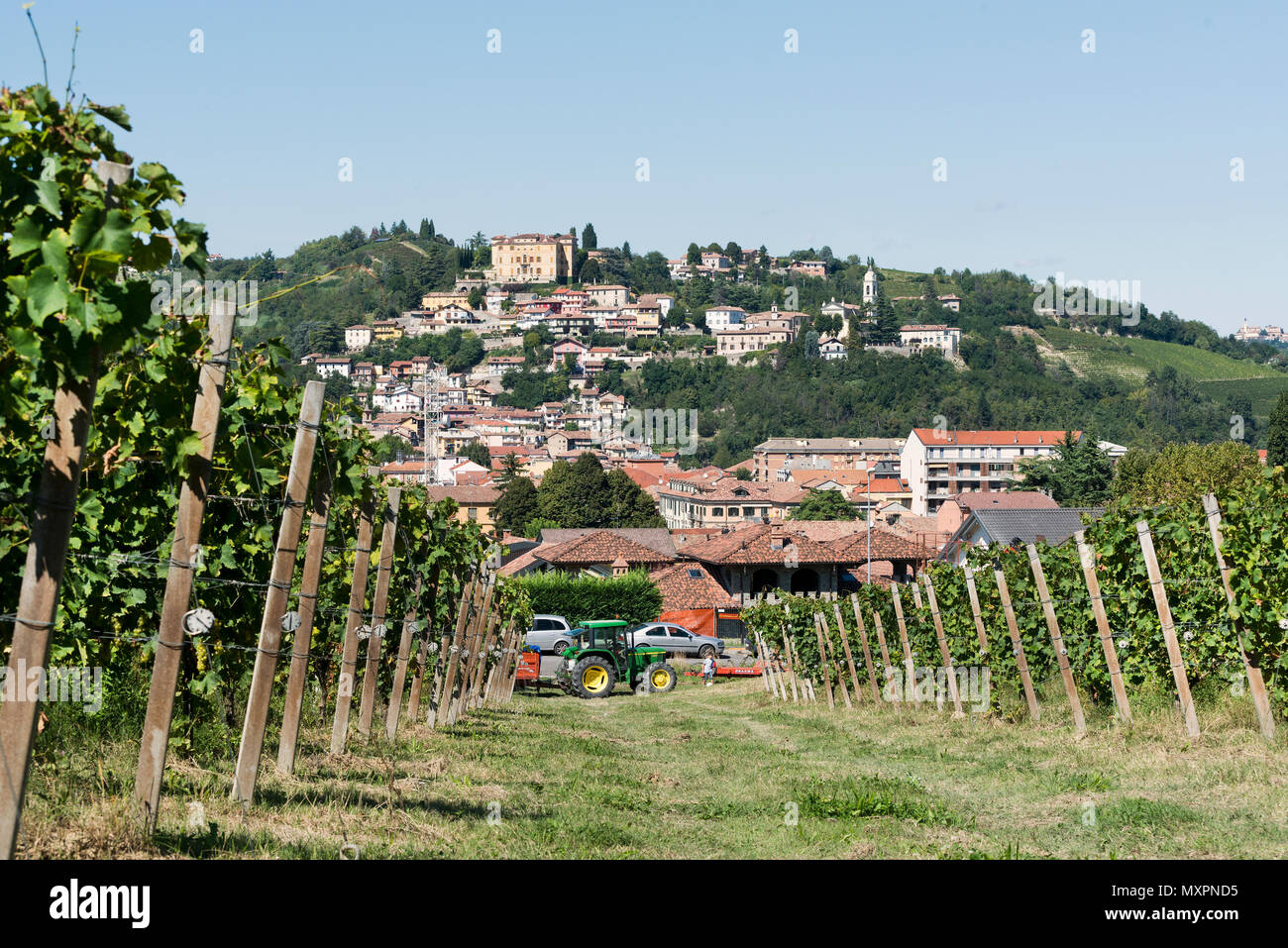 Piedmont wine canelli hi-res stock photography and images - Alamy