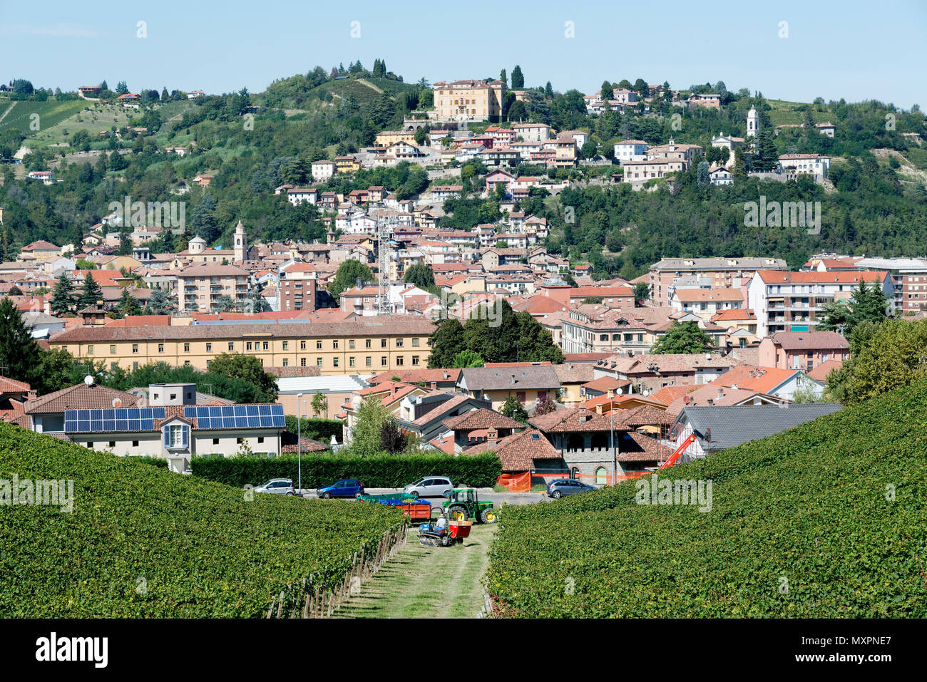 Italy, panorama of vineyards of Piedmont: Langhe-Roero and Monferrato ...