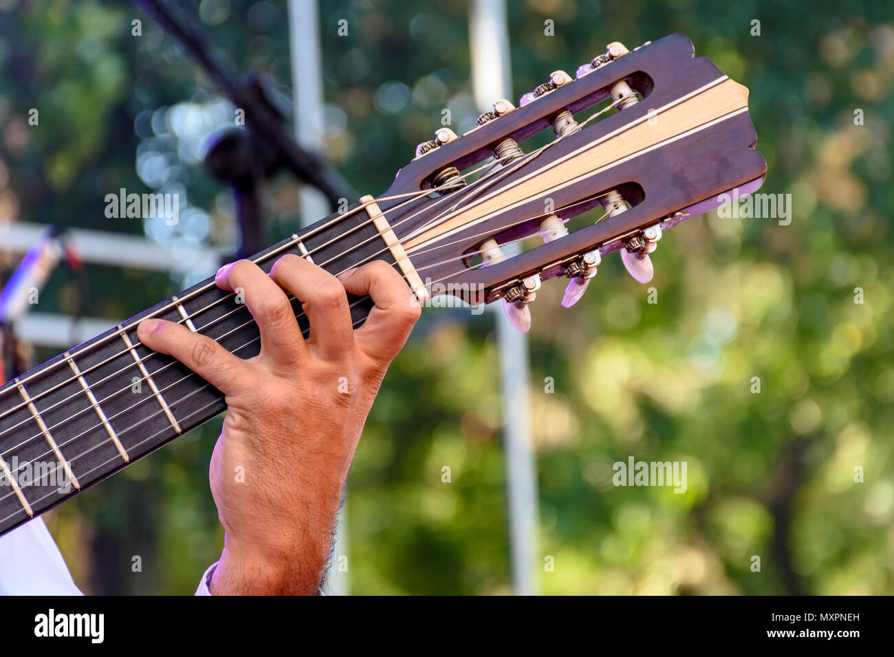 Seven String Acoustic Guitar High Resolution Stock Photography and ...