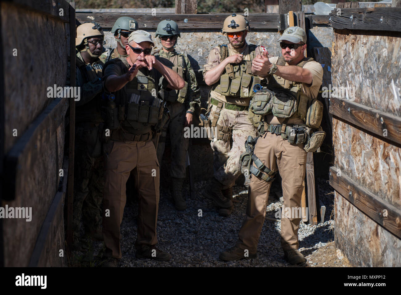 Combat cameramen hi-res stock photography and images - Alamy