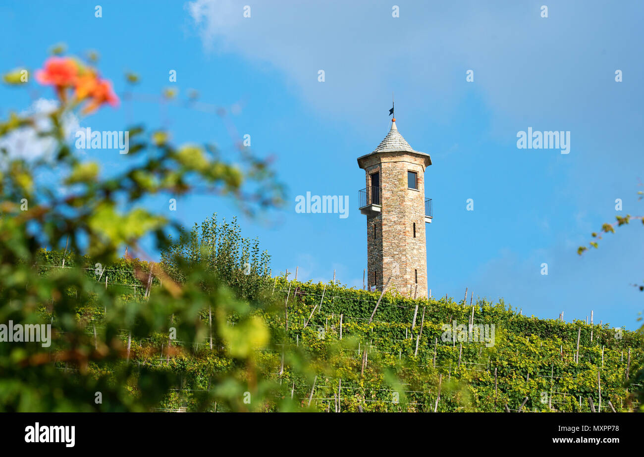 Torre dei contini hi-res stock photography and images - Alamy