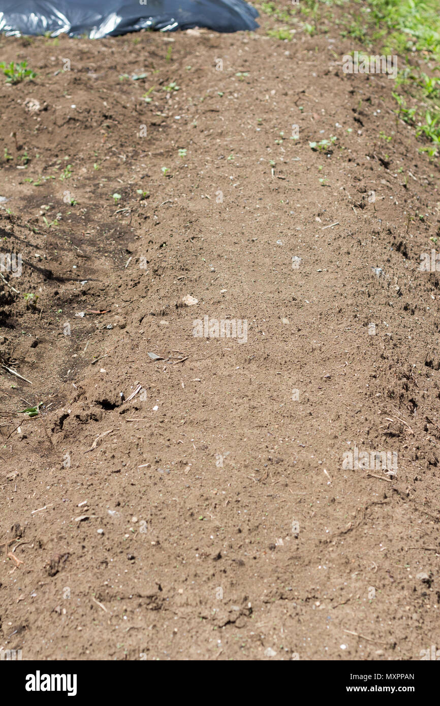 Soft soil hi-res stock photography and images - Alamy