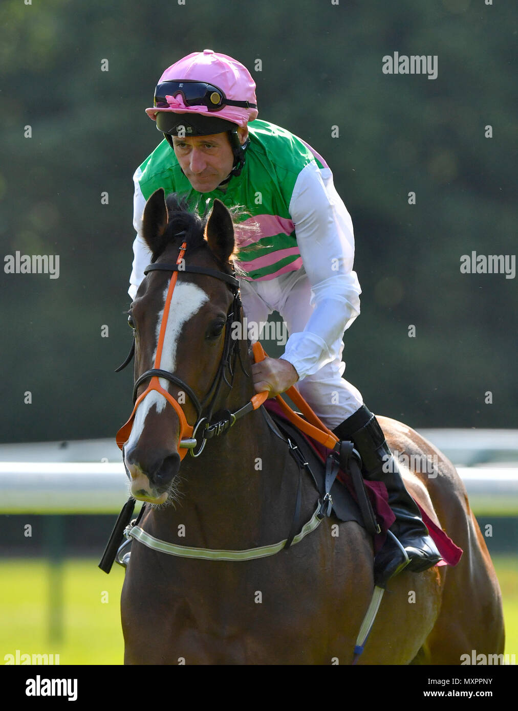 Compton Poppy ridden by jockey John Egan Stock Photo - Alamy