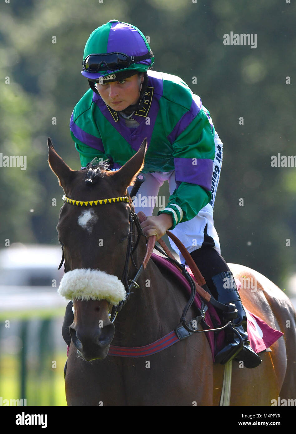 Mininggold ridden by jockey Paula Muir Stock Photo - Alamy