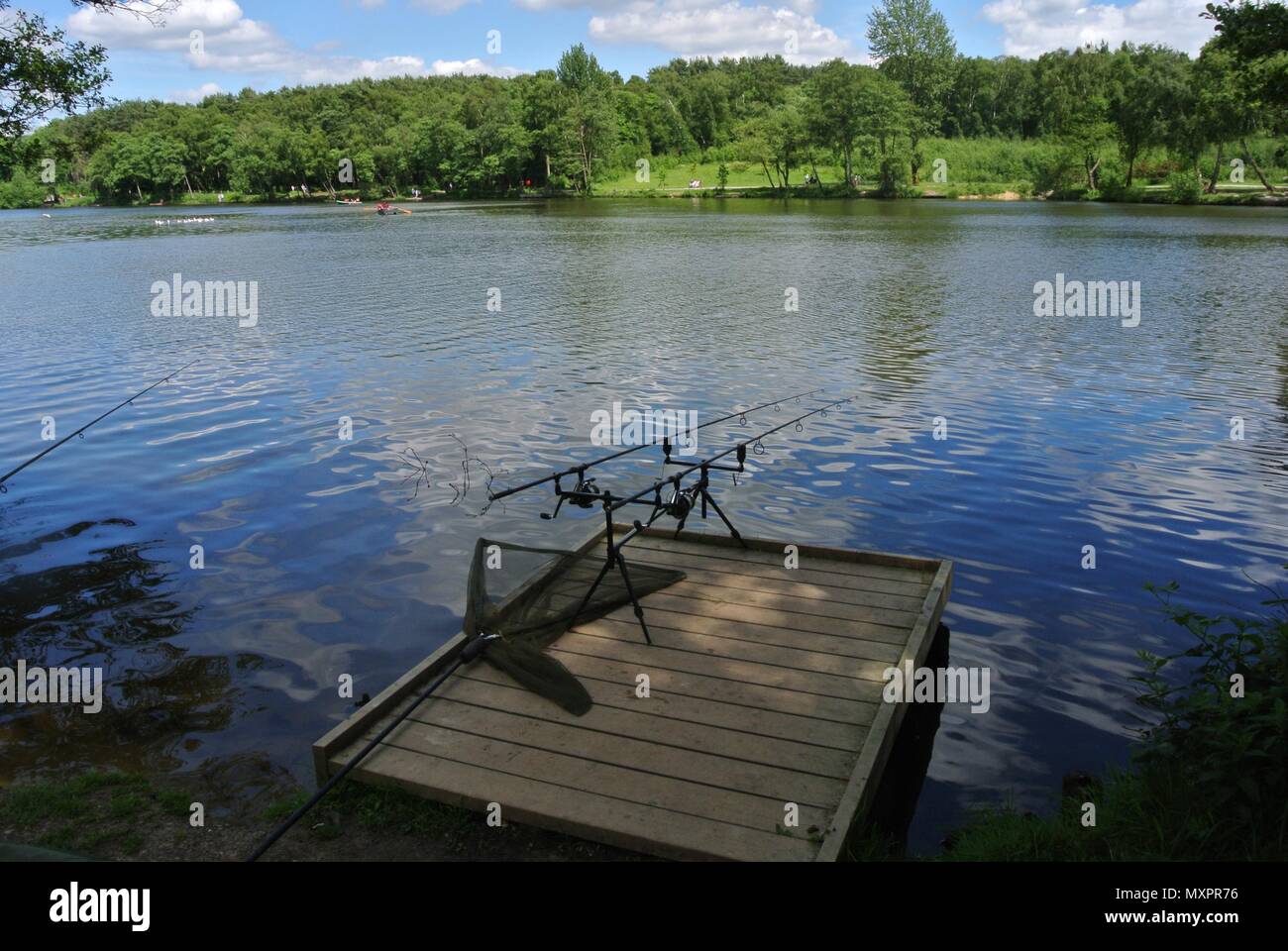 Tilgate forest hi-res stock photography and images - Alamy