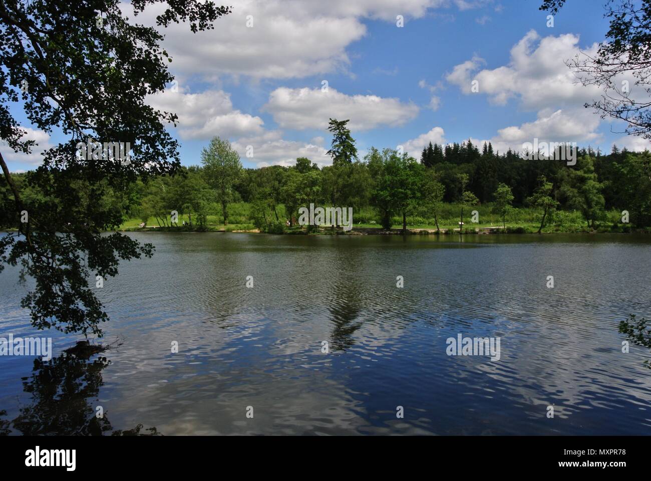 Crawley tilgate park hi-res stock photography and images - Alamy