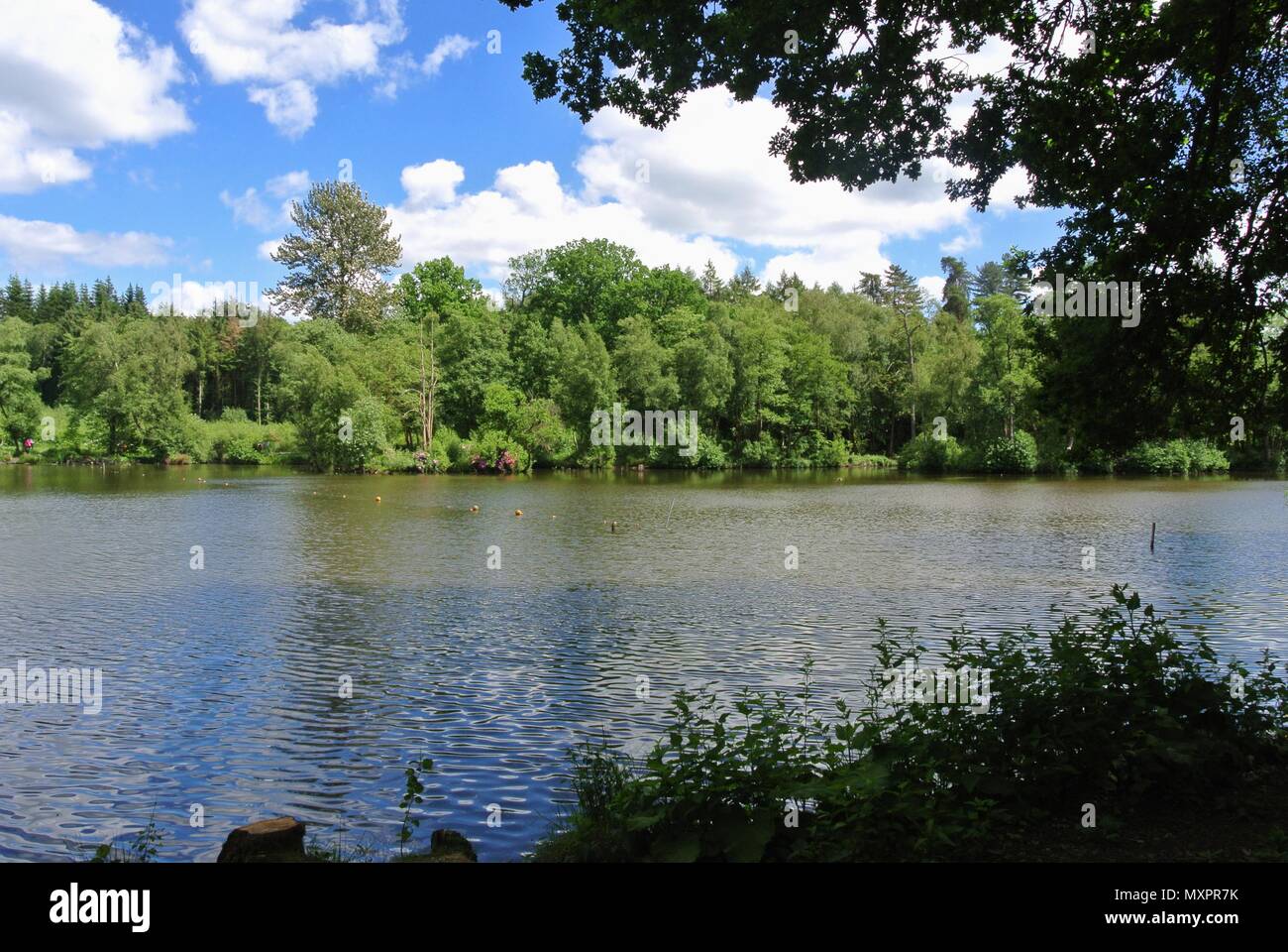 Crawley tilgate park hi-res stock photography and images - Alamy