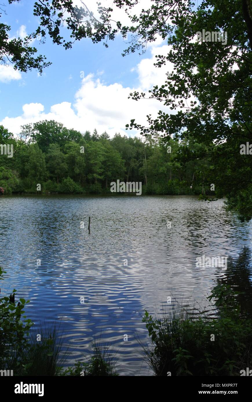 Crawley tilgate park hi-res stock photography and images - Alamy