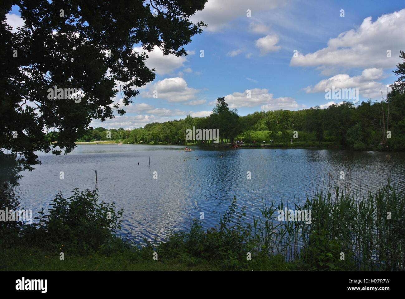 Crawley tilgate park hi-res stock photography and images - Alamy