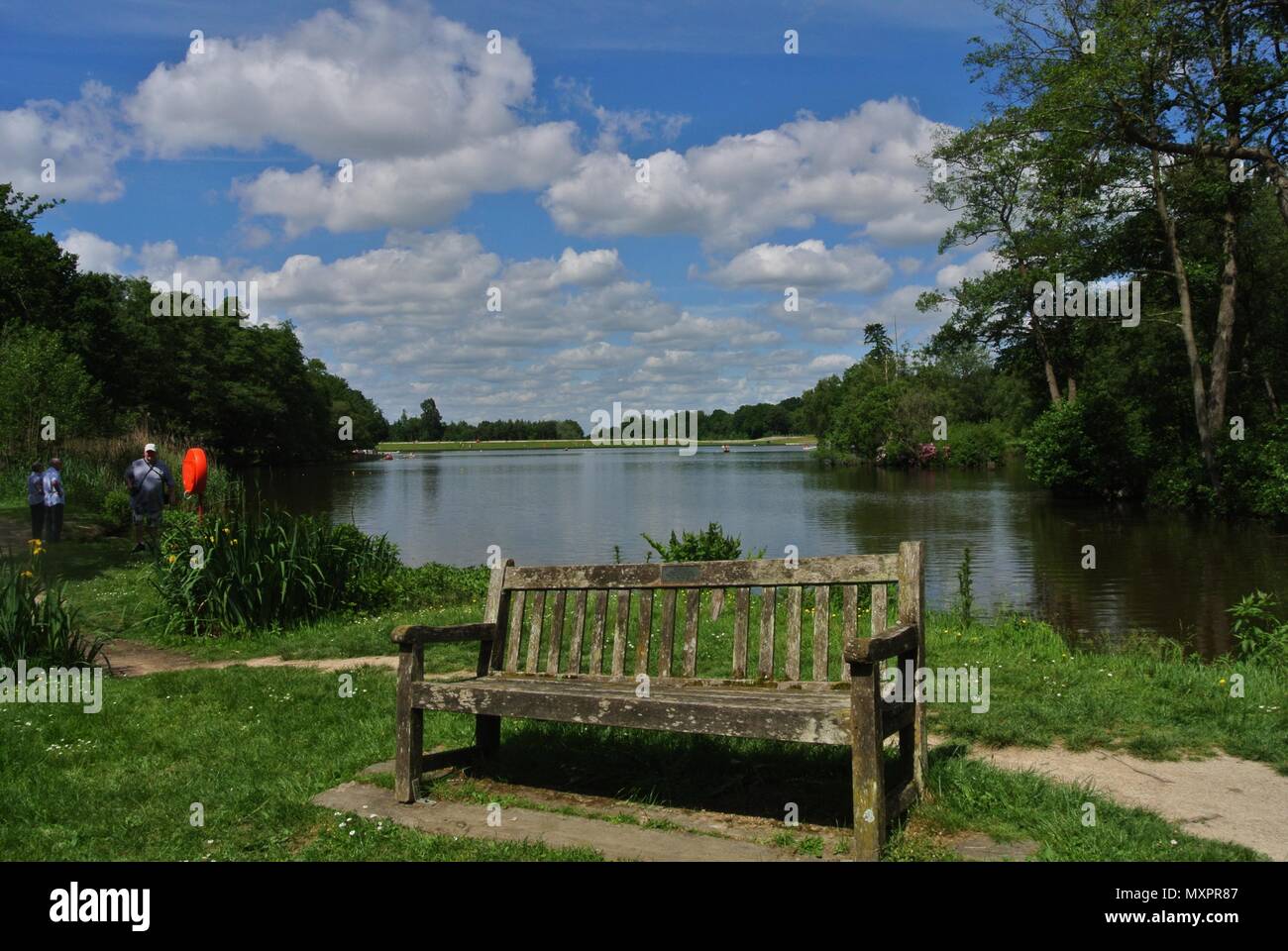 Silvicutural forest hi-res stock photography and images - Alamy