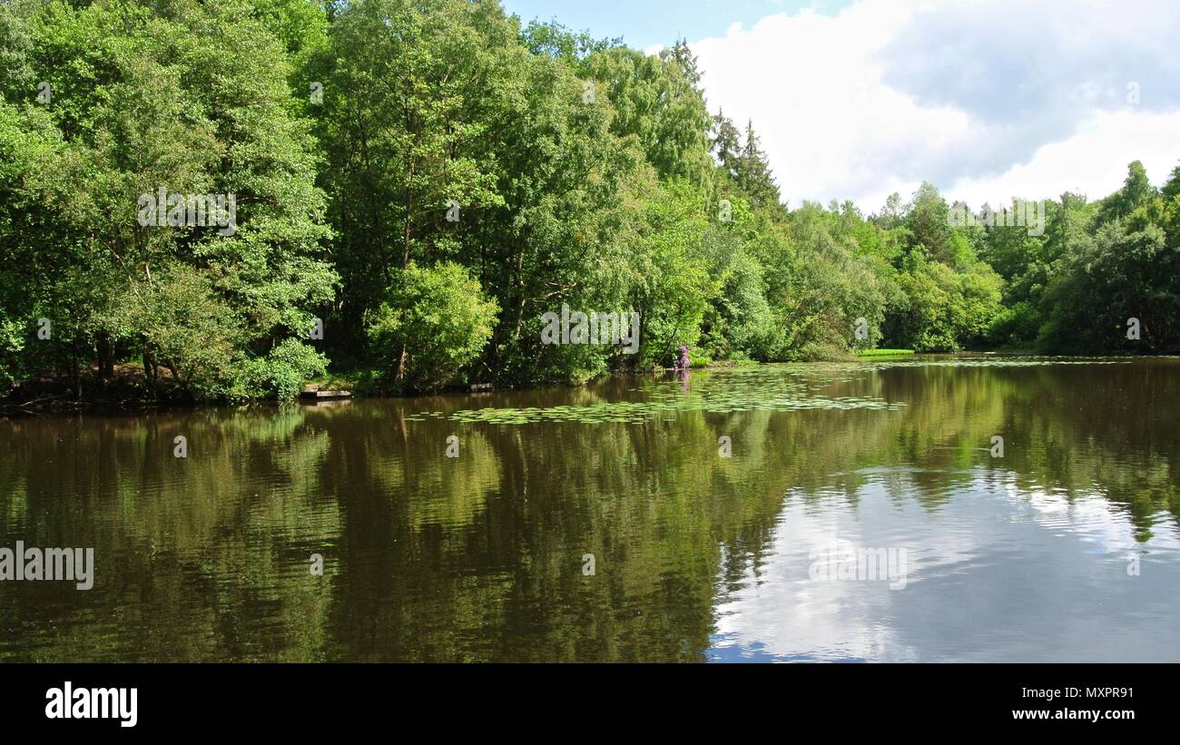Tilgate Park, south east crawley Stock Photo - Alamy