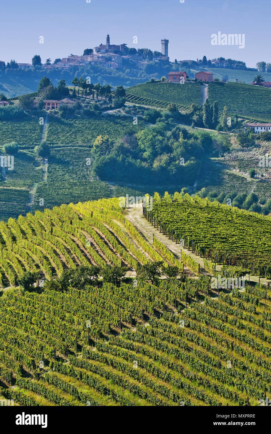 Italy, panorama of vineyards of Piedmont: Langhe-Roero and Monferrato ...