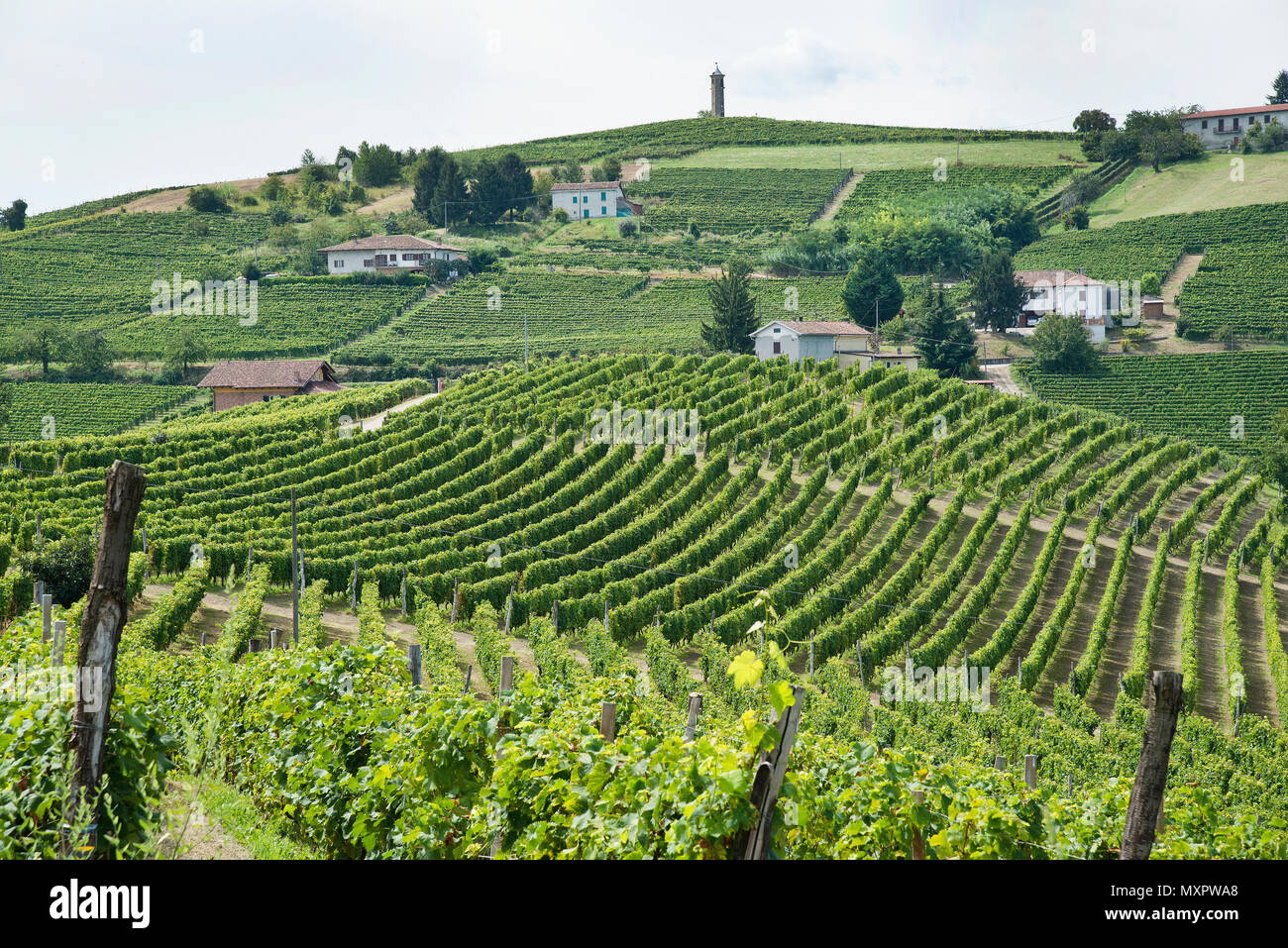 Torre dei contini hi-res stock photography and images - Alamy
