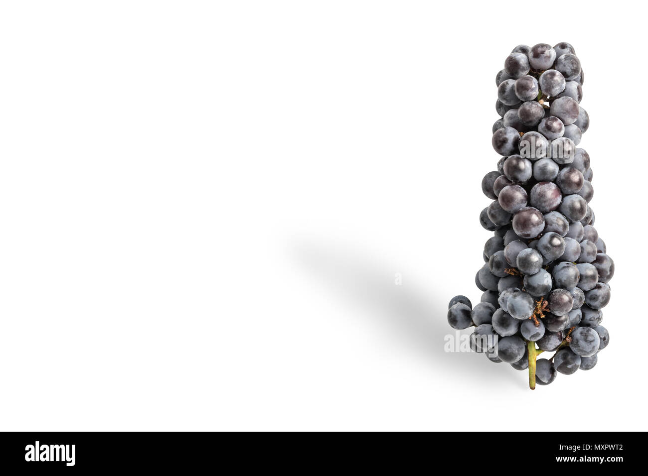 Grapes on vine horizontal Cut Out Stock Images & Pictures - Alamy