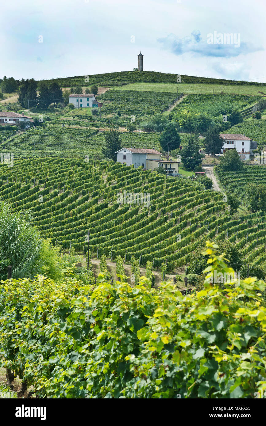 Torre dei contini hi-res stock photography and images - Alamy