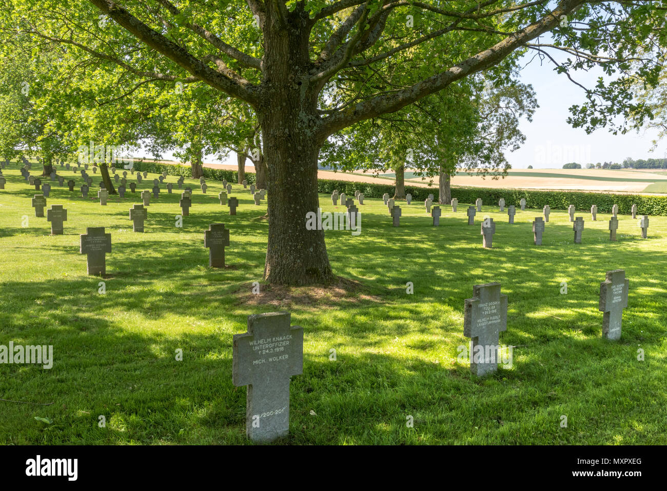German war cemetery, Rancourt, Somme Stock Photo - Alamy