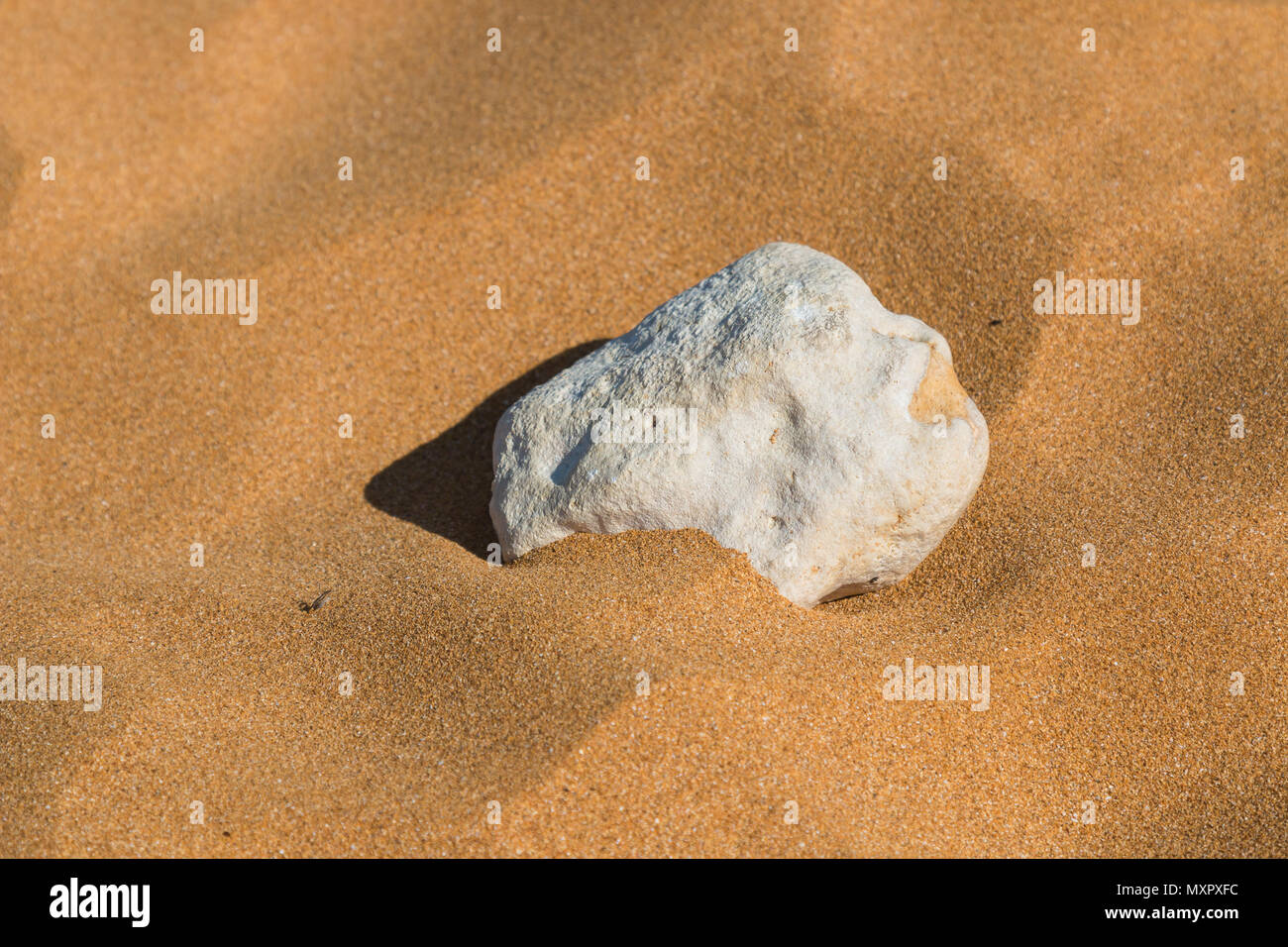 Light color of a stone in the sand of a beach. Long shadow when the sun ...