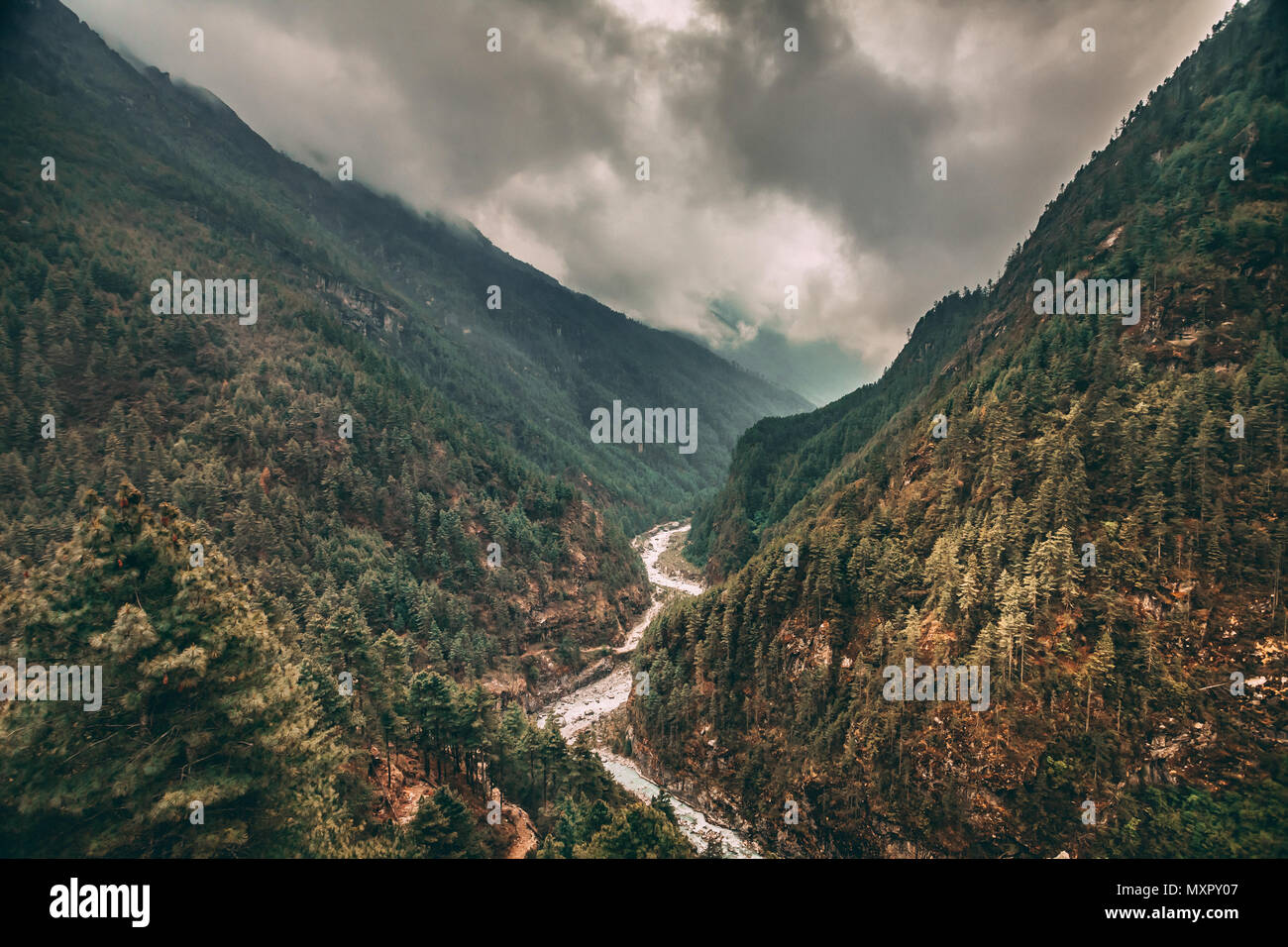 The spectacular landscape the dense coniferous forests and the mountain ...