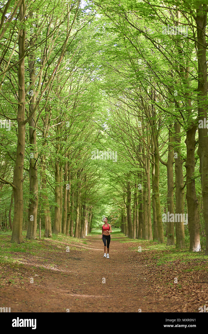 Young athletic woman running down a forest path with huge trees on each ...
