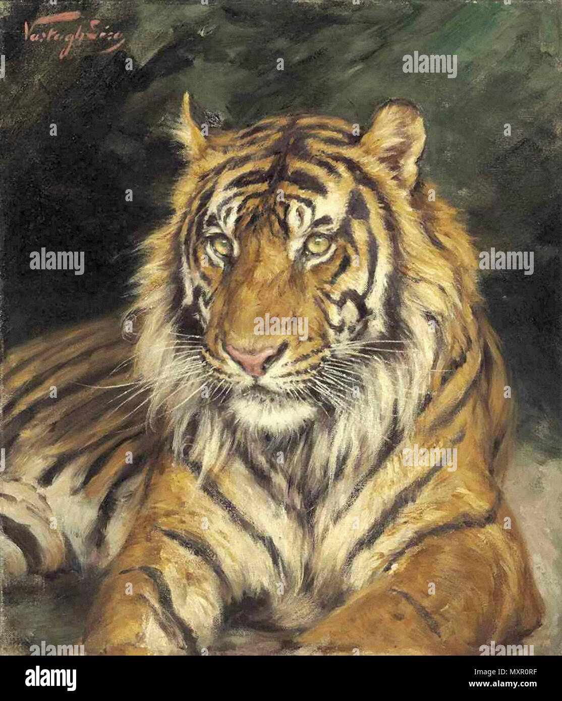 Tiger reclining hi-res stock photography and images - Alamy